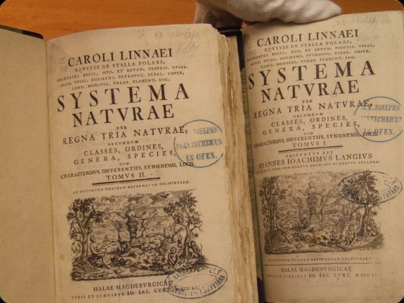 Carl Linné: Systema naturae – Magyar Természettudományi Múzeum